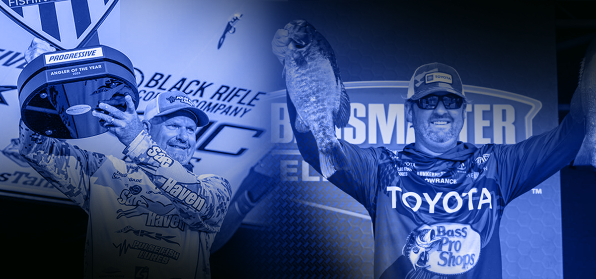 Pulse Fish | Feel The Pulse