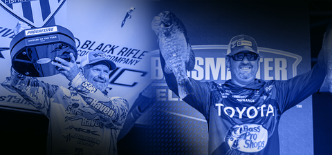 Pulse Fish | Feel The Pulse